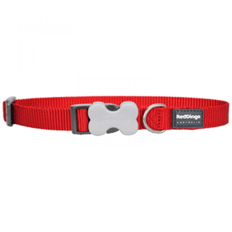 Red Dingo Bucklebone Classic Range Red Collar - Clubpets E-Store ...